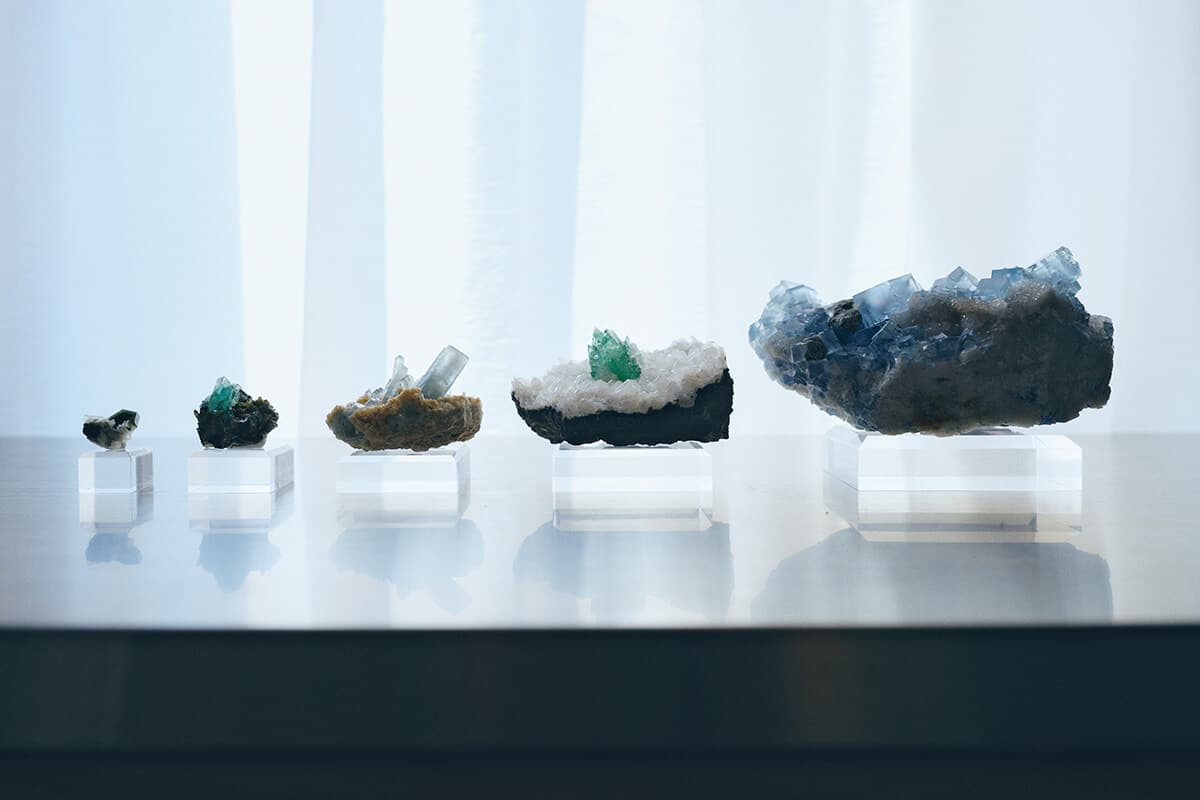 日本有数のコレクター〈PEANUTS MINERALS〉亀田和人に学ぶ、鉱物標本の愉しみかた | ブルータス| BRUTUS.jp