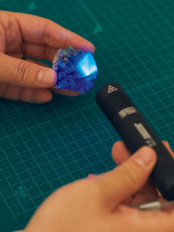 日本有数のコレクター〈PEANUTS MINERALS〉亀田和人に学ぶ、鉱物標本の愉しみかた | ブルータス| BRUTUS.jp