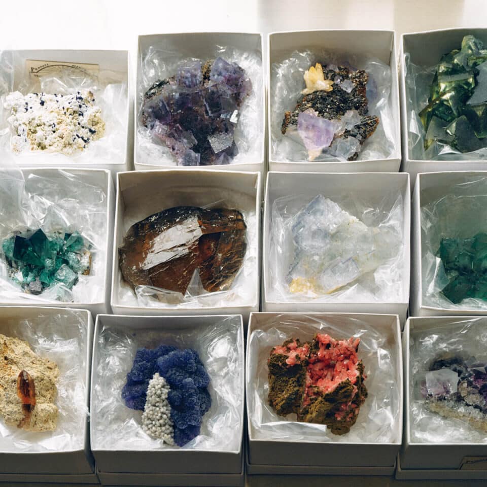 日本有数のコレクター〈PEANUTS MINERALS〉亀田和人に学ぶ、鉱物標本の愉しみかた | ブルータス| BRUTUS.jp
