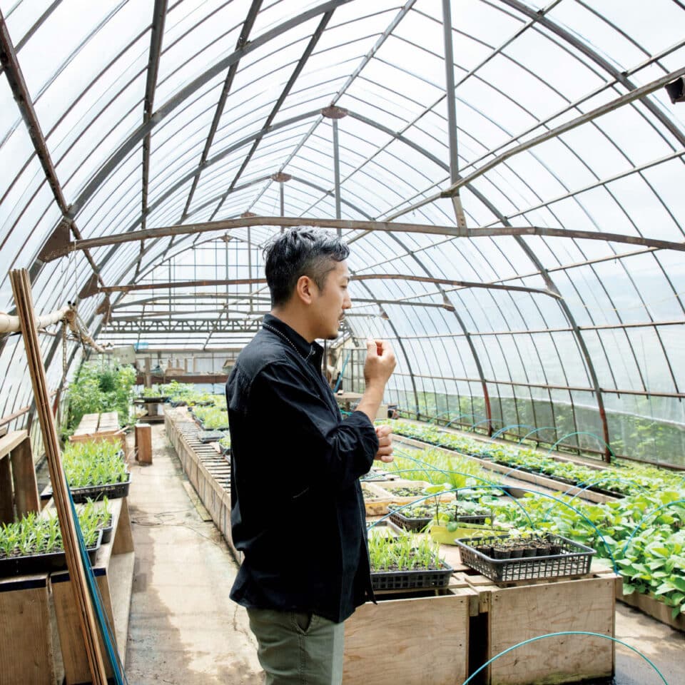 東京・青梅〈Ome Farm〉。トップシェフたちがこぞって訪れる畑 | ブルータス| BRUTUS.jp