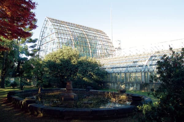 いつか行きたい東京の植物園3選 | ブルータス| BRUTUS.jp