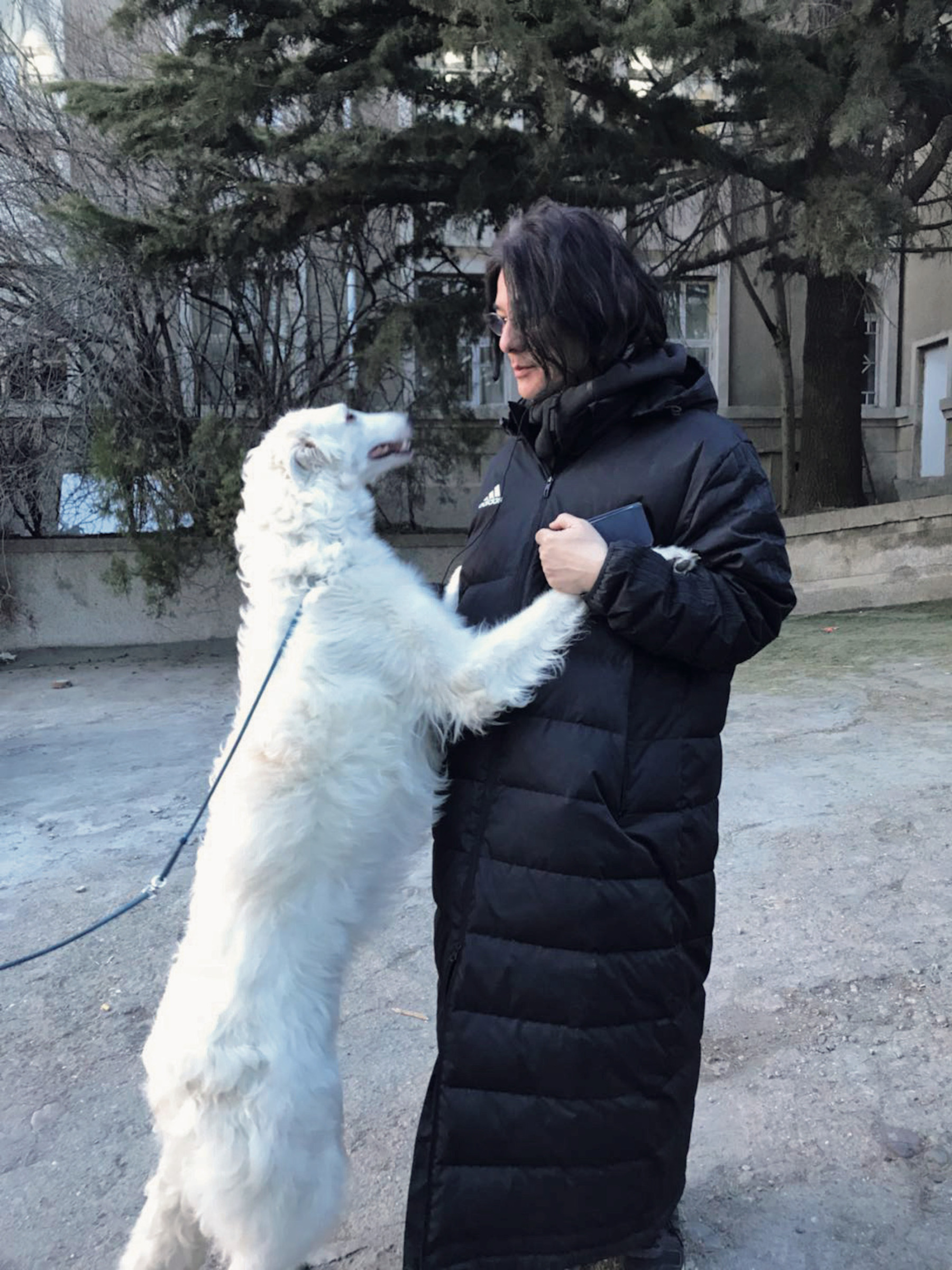 映画監督・岩井俊二の挑戦、その前夜のこと。powered by Yakult | ブルータス| BRUTUS.jp