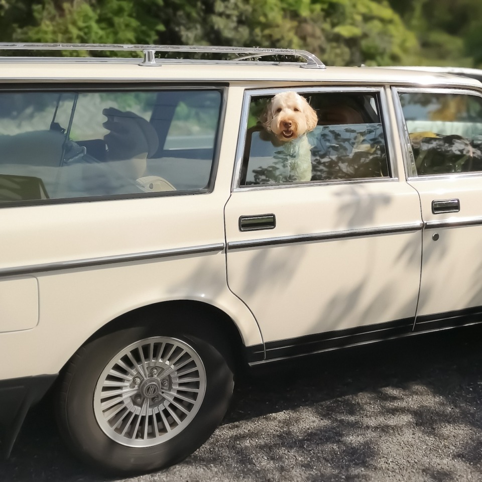 愛車、なに使ってますか？Vol.1 ニットアーティスト・蓮沼千紘、フォトグラファー・玉村敬太 etc. | ブルータス| BRUTUS.jp