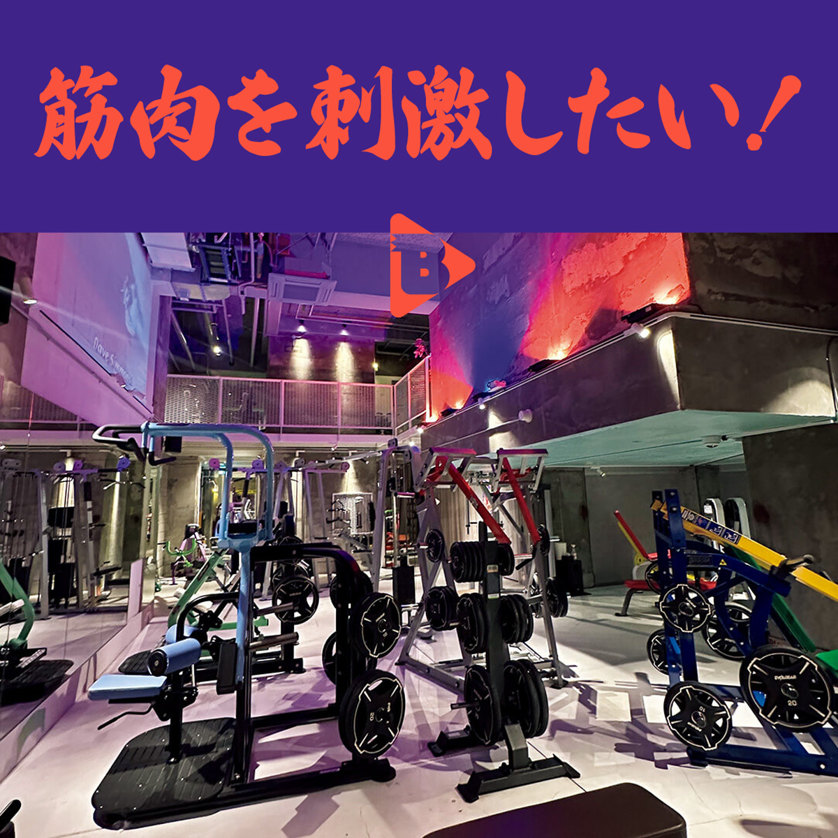 デイリーブルータス | ブルータス| BRUTUS.jp